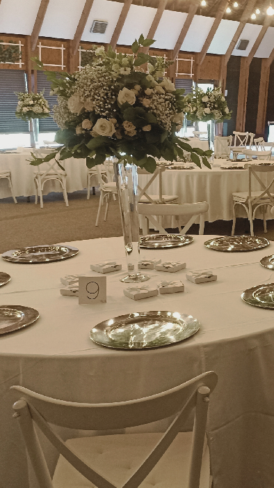 Luksuzne dekoracije – Vedrana i David, Imanje Marincel